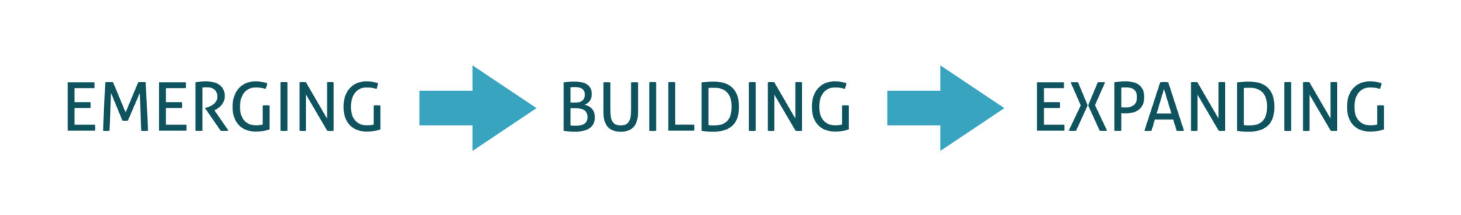 Breaking Down the Continuum of Reading Skills into Literacy Levels ...
