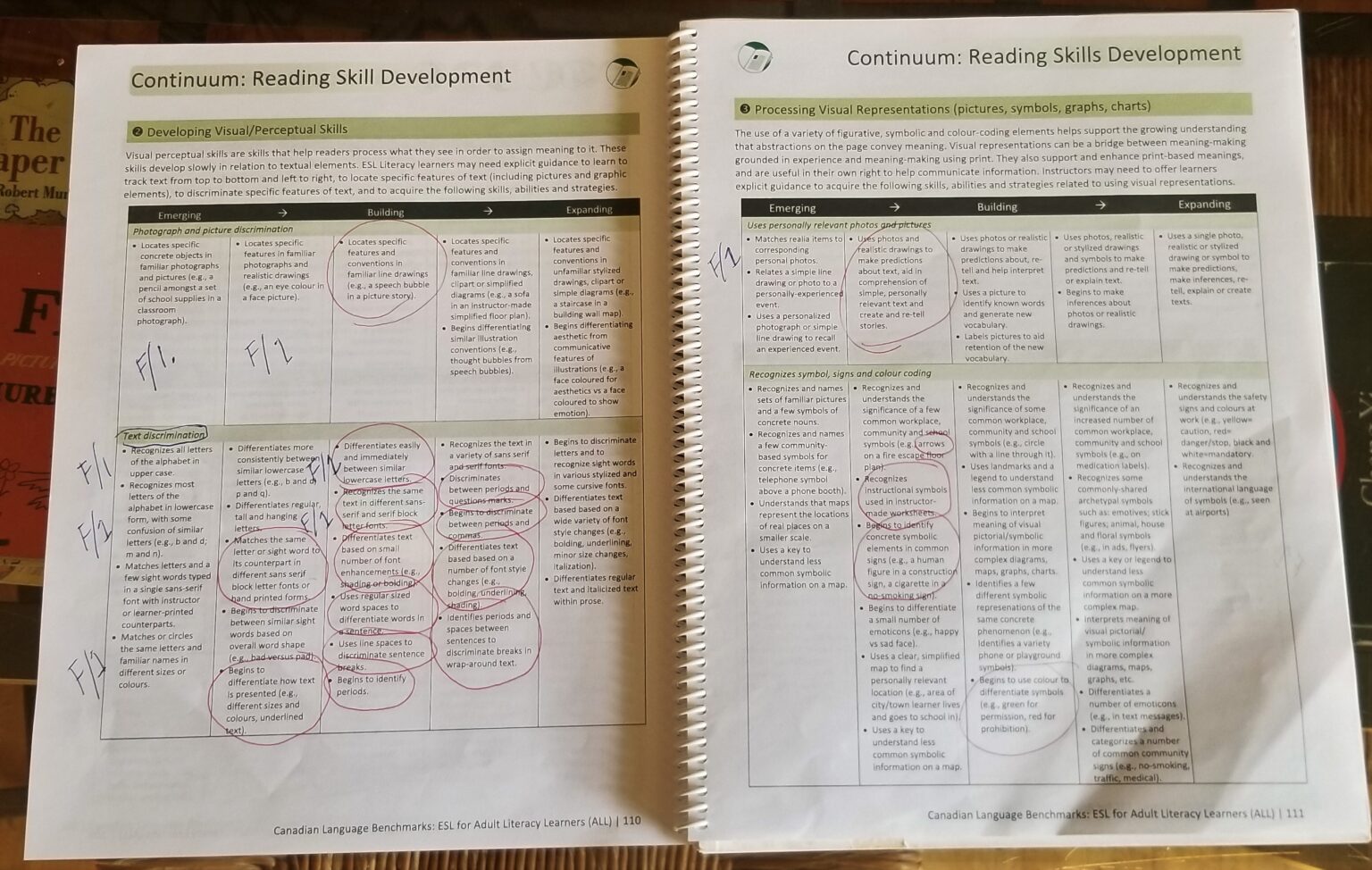 Breaking Down the Continuum of Reading Skills into Literacy Levels ...
