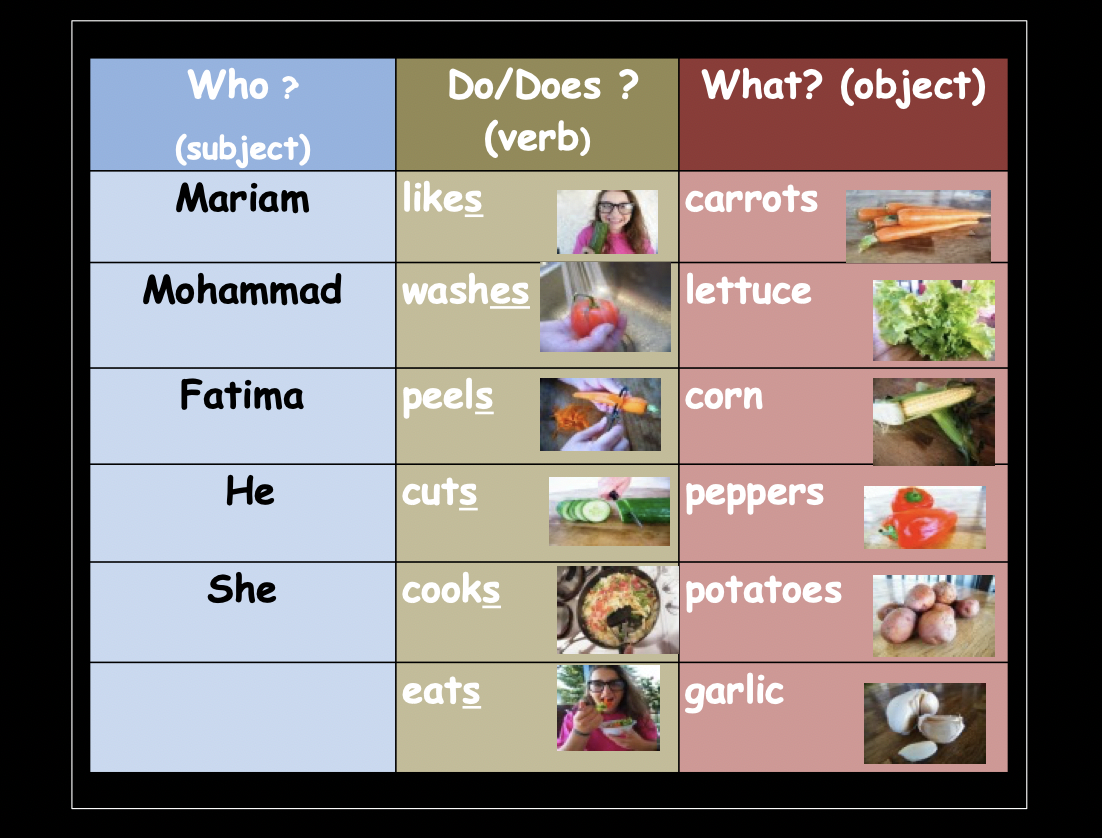 Helping Literacy Learners find Structure in English: Modified ...