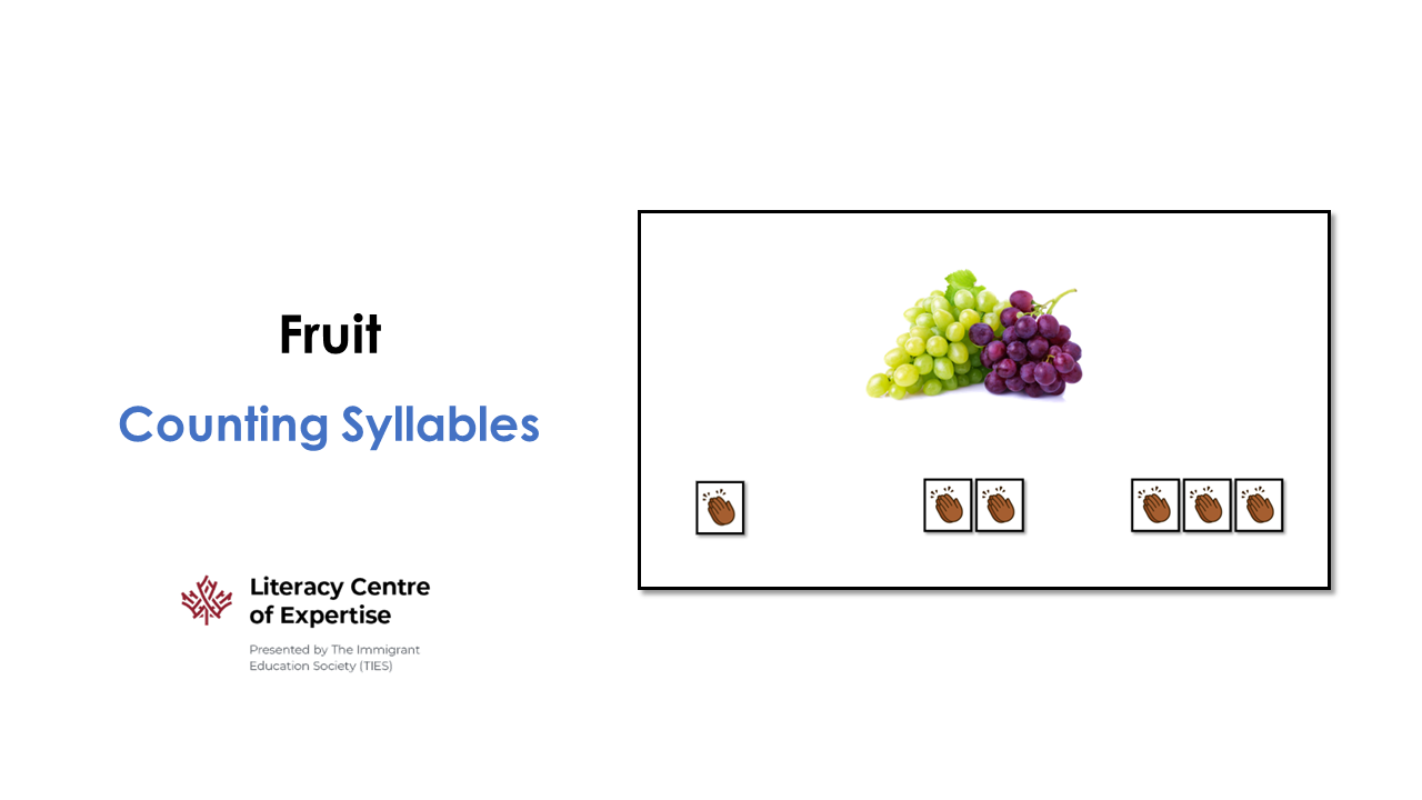 Fruit Module – Literacy Centre of Expertise