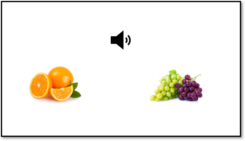 Fruit - First Letters, First Sounds